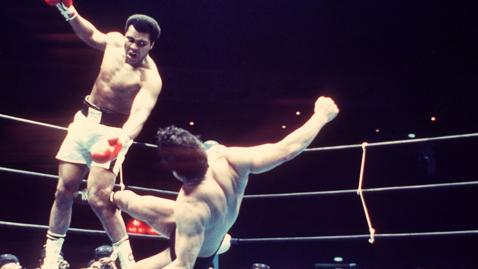 Boxing oddities and unusual fight nights