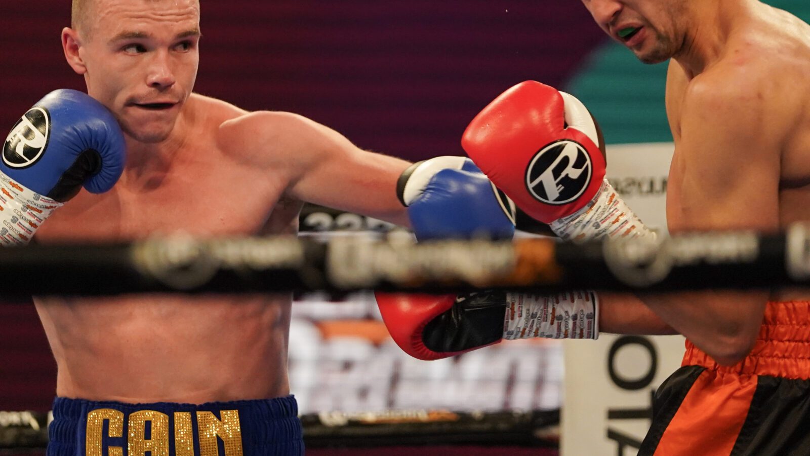 Andrew Cain: Out of the wilderness