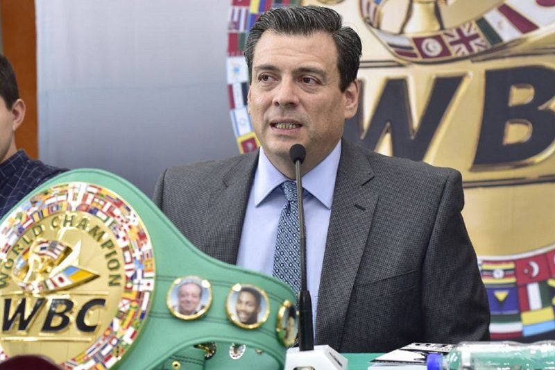 WBC Unveil New 'Bridgerweight' Division