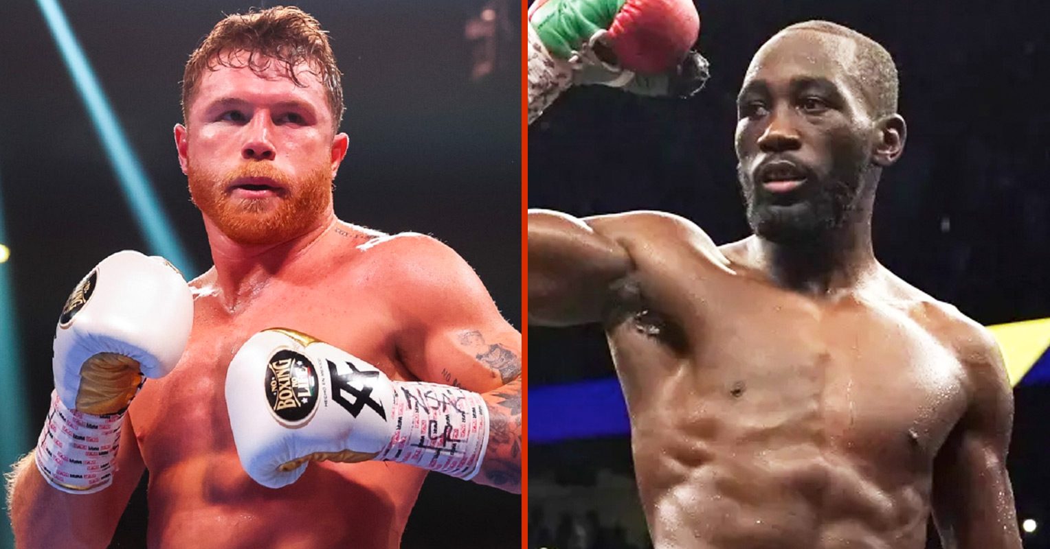 Fighter Who Moved Up Weight And Got KO'd By Canelo Tells Crawford To ...